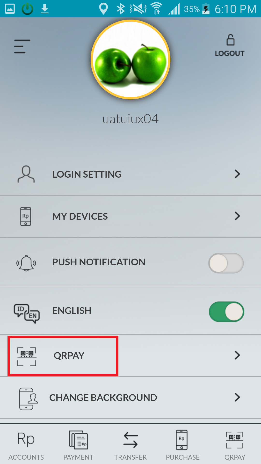 Maybank QR Pay How To