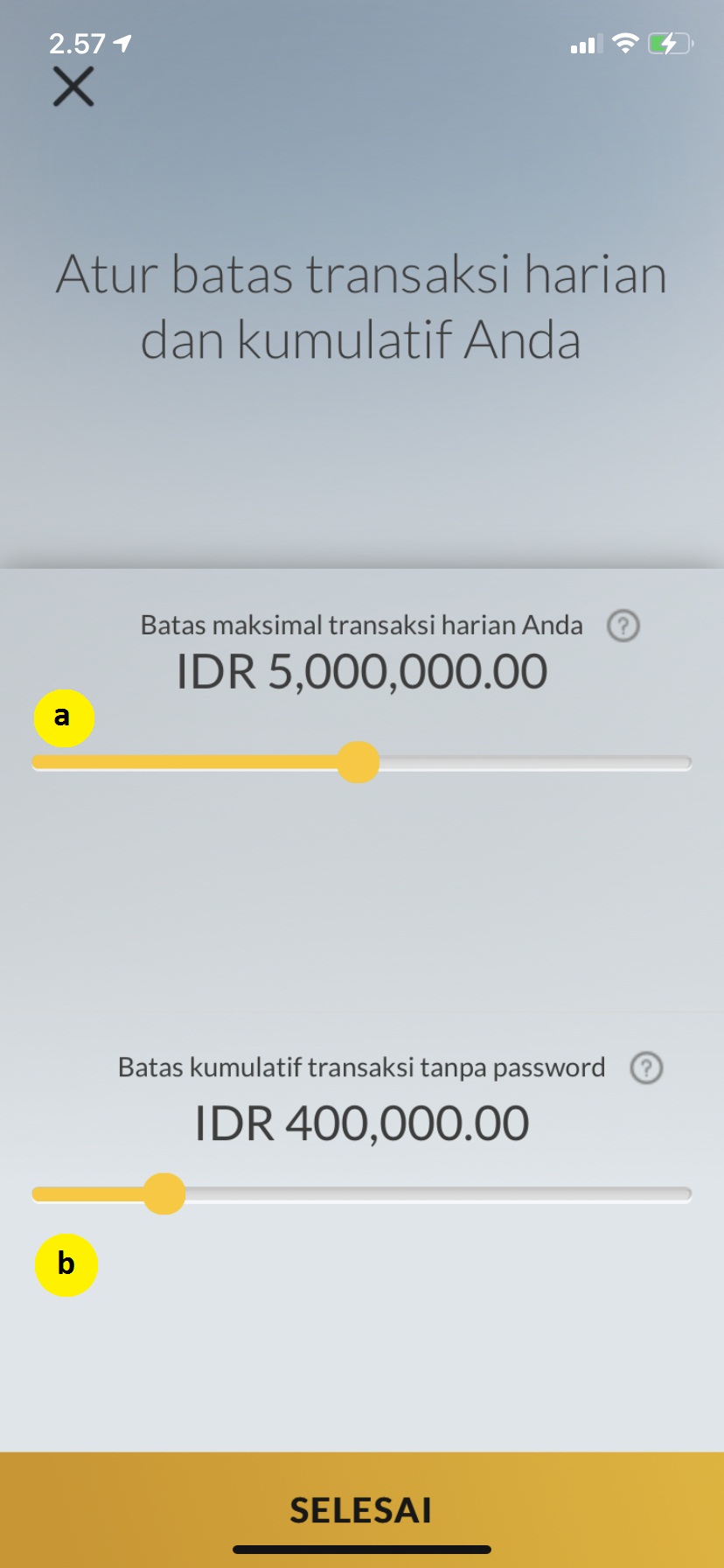 Maybank QR Pay How To