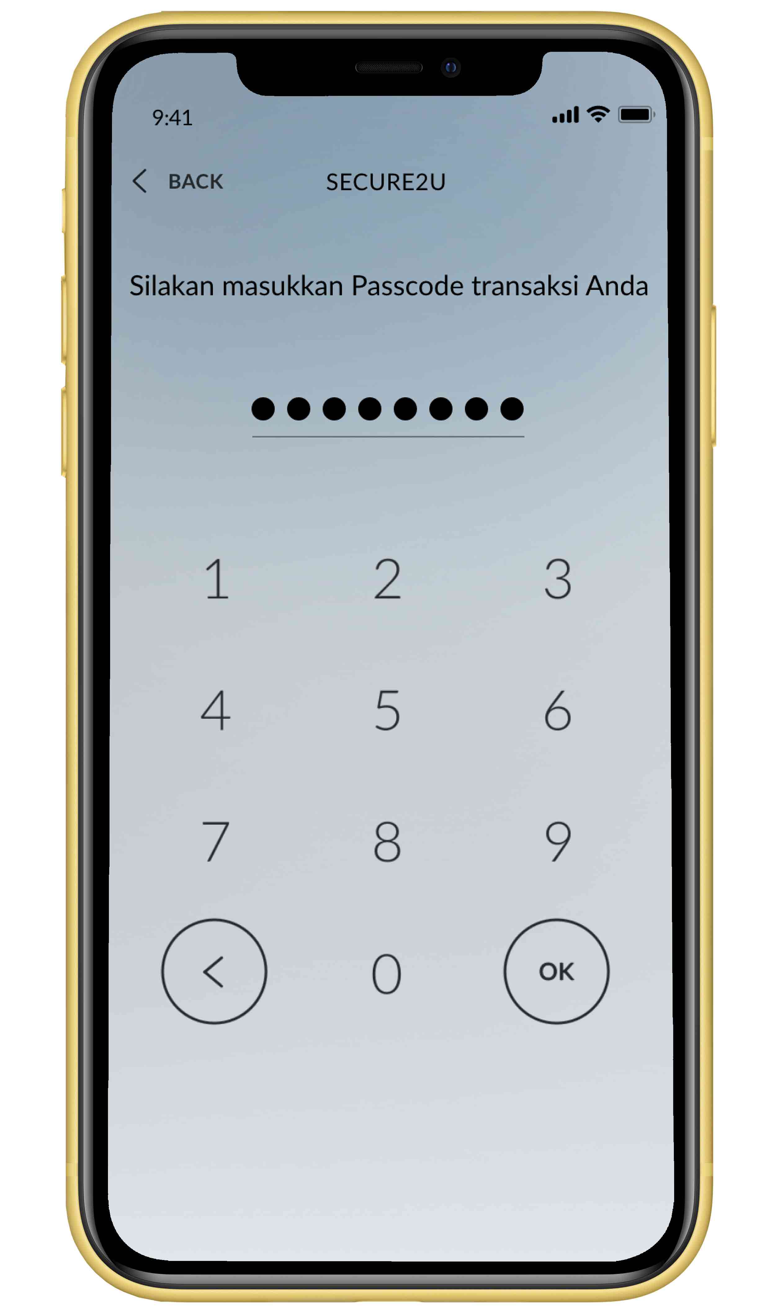 Maybank QR Pay How To