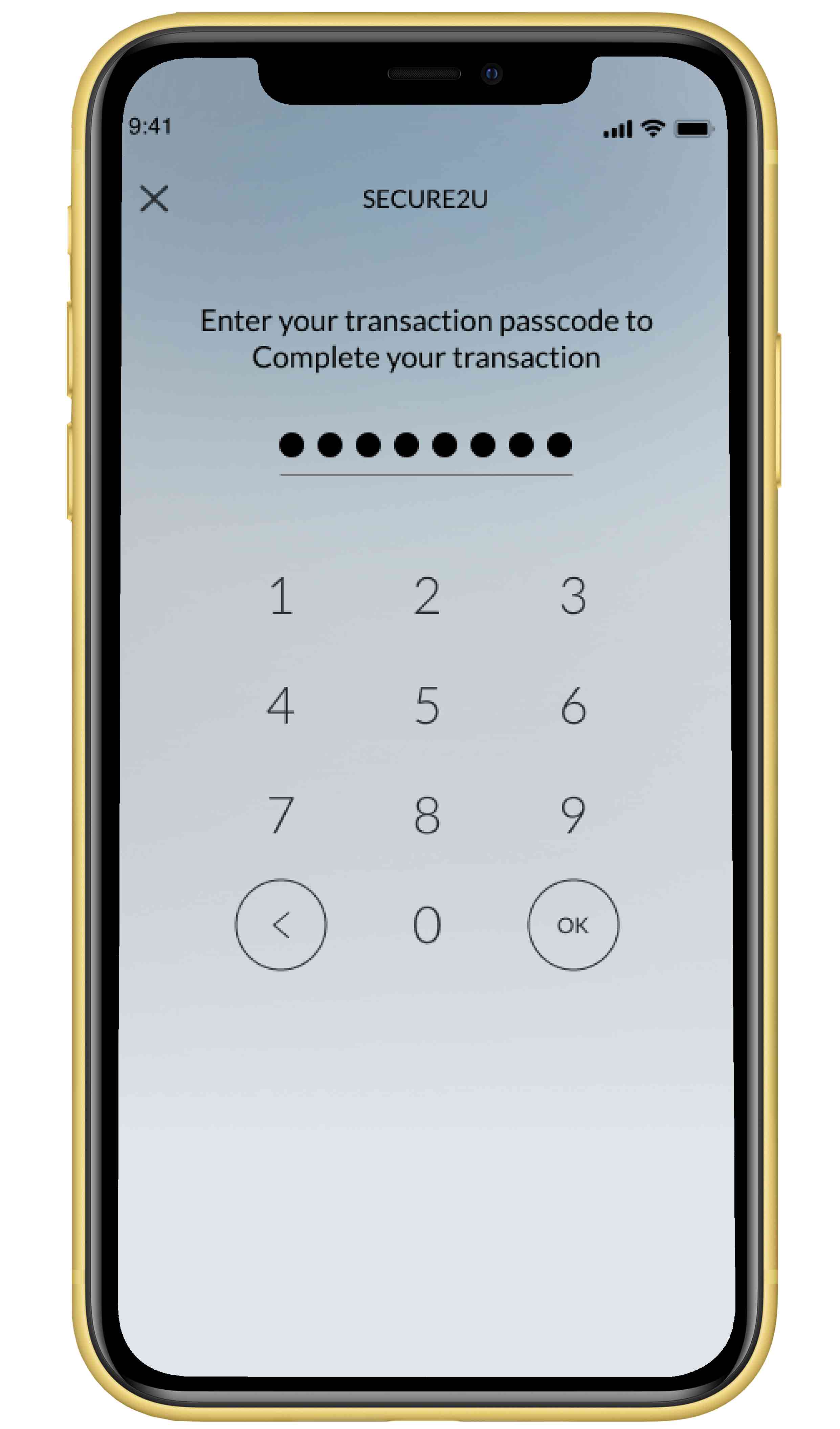 Maybank QR Pay How To