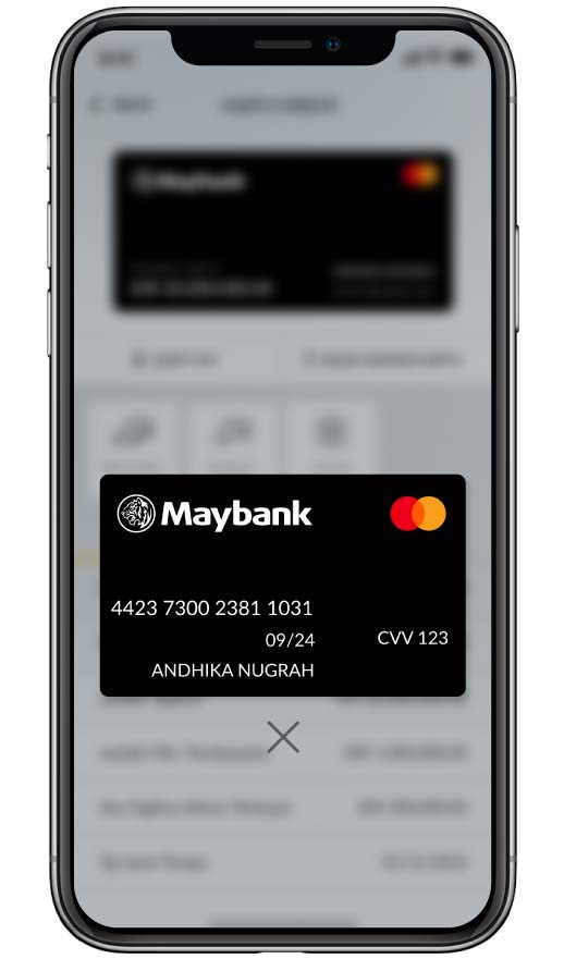 Panduan Salin Nomor dan lihat CVV