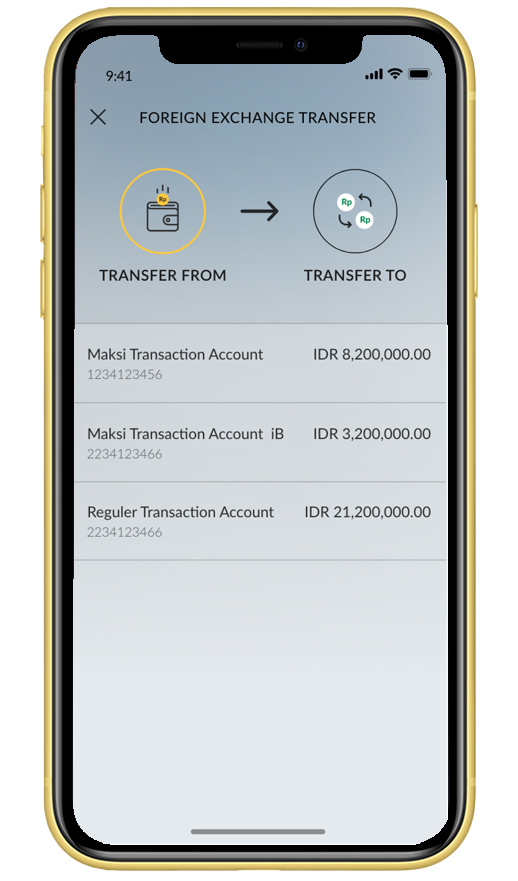 How To Transact Foreign Currency
