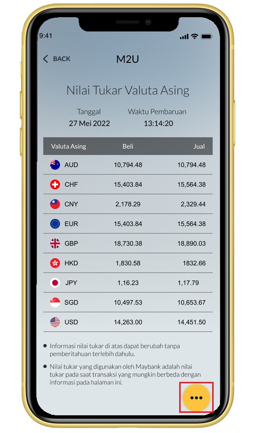Panduan Transfer Valas