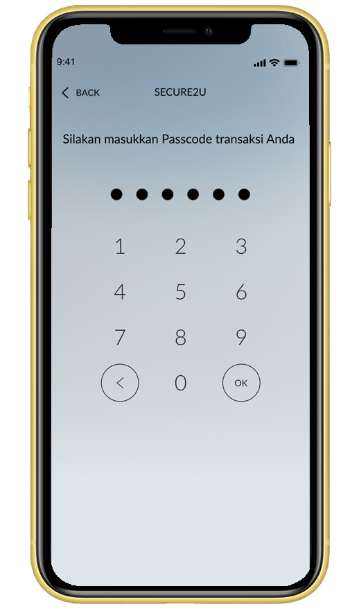 Panduan Transfer Valas