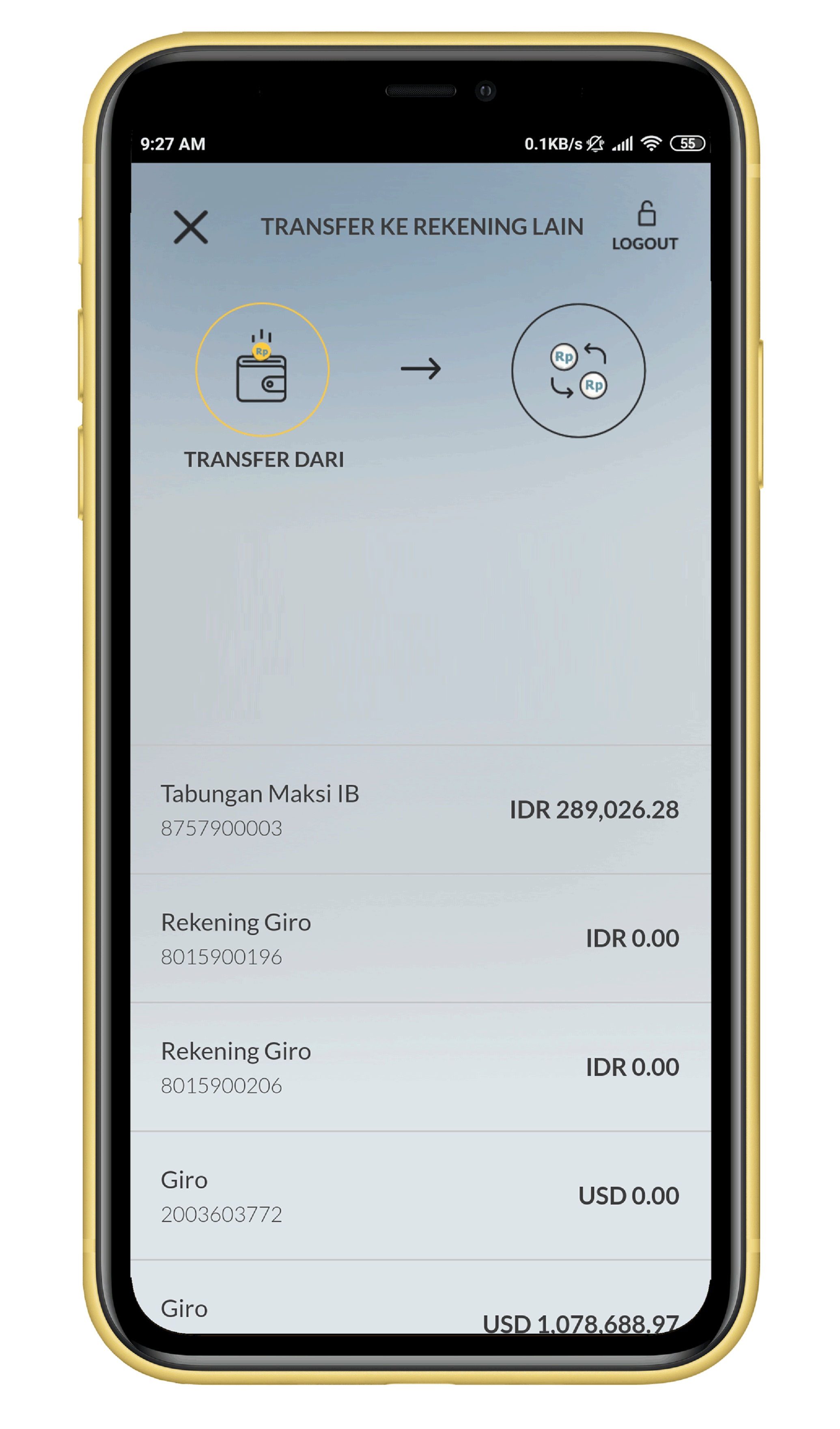 Panduan Transfer Valas